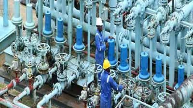 ogbele-field-Copy | The Guardian Nigeria News - Nigeria and World News