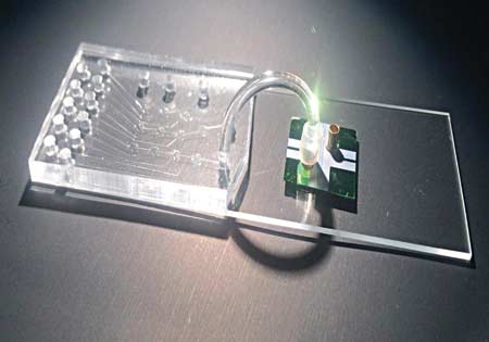 ‘Portable, rapid DNA test can detect Ebola’