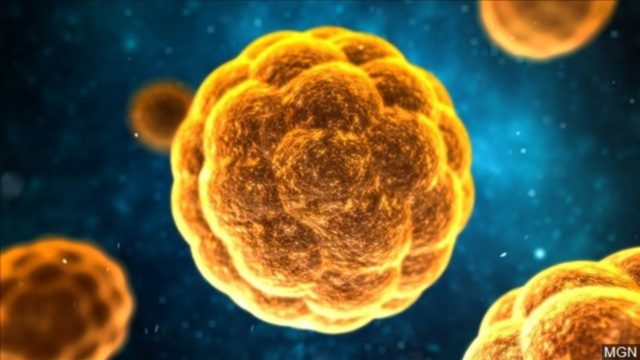 Jostasy vip leaked we met a few days ago while I happened