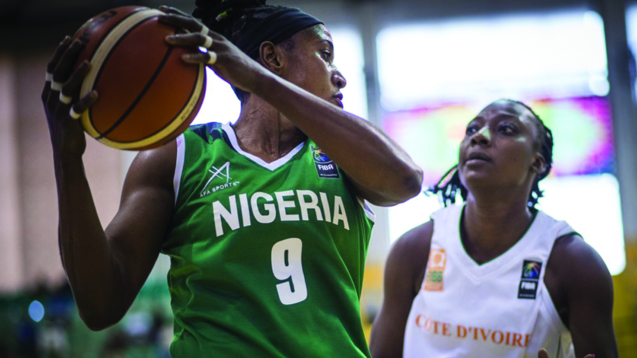 Zenith Bank doles out cash reward to D’Tigress | The Guardian Nigeria ...