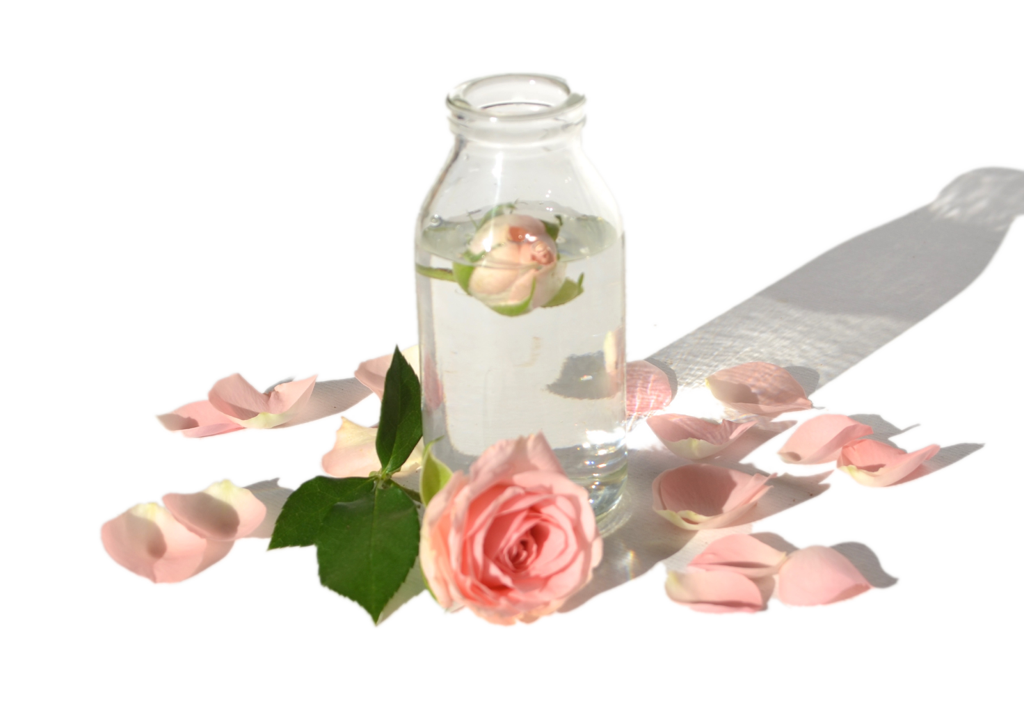 Tips For Preparing Rose Water In The Comfort Of Your Home