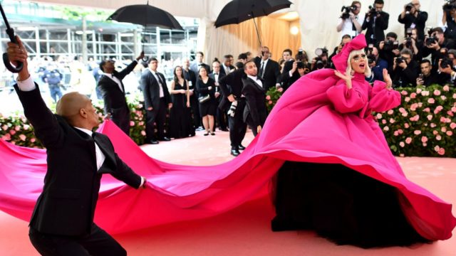 Insect With Strange Sex Organs And Horns Named After Lady Gaga