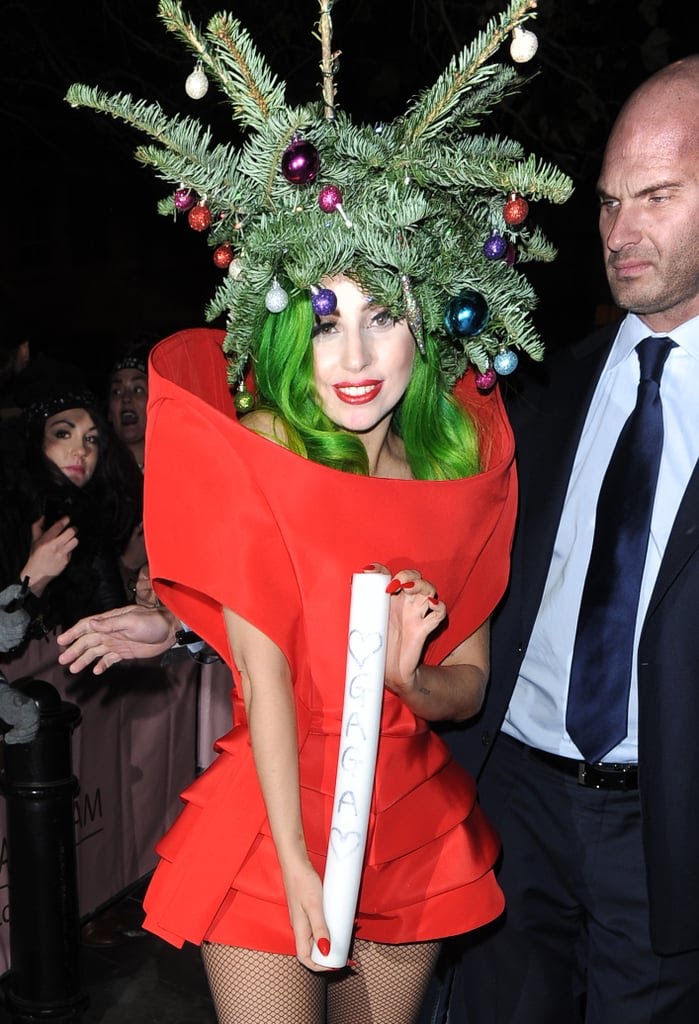 Insect With Strange Sex Organs And Horns Named After Lady Gaga