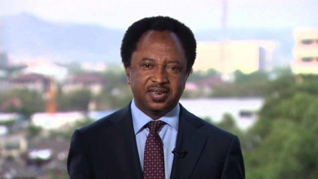 Shehu Sani Archives | The Guardian Nigeria News - Nigeria and World News