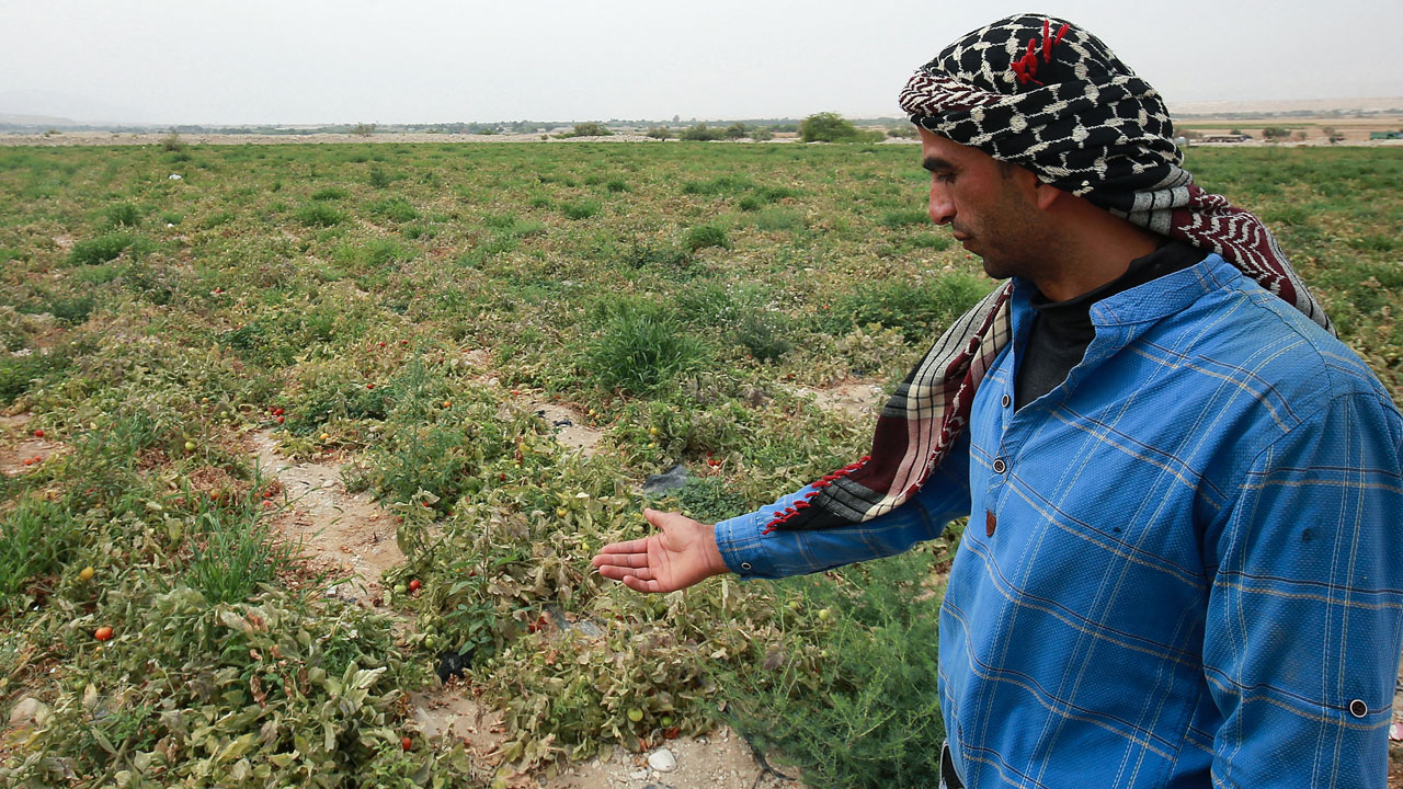 Drought-hit Jordan 'critical' as water sources dry up