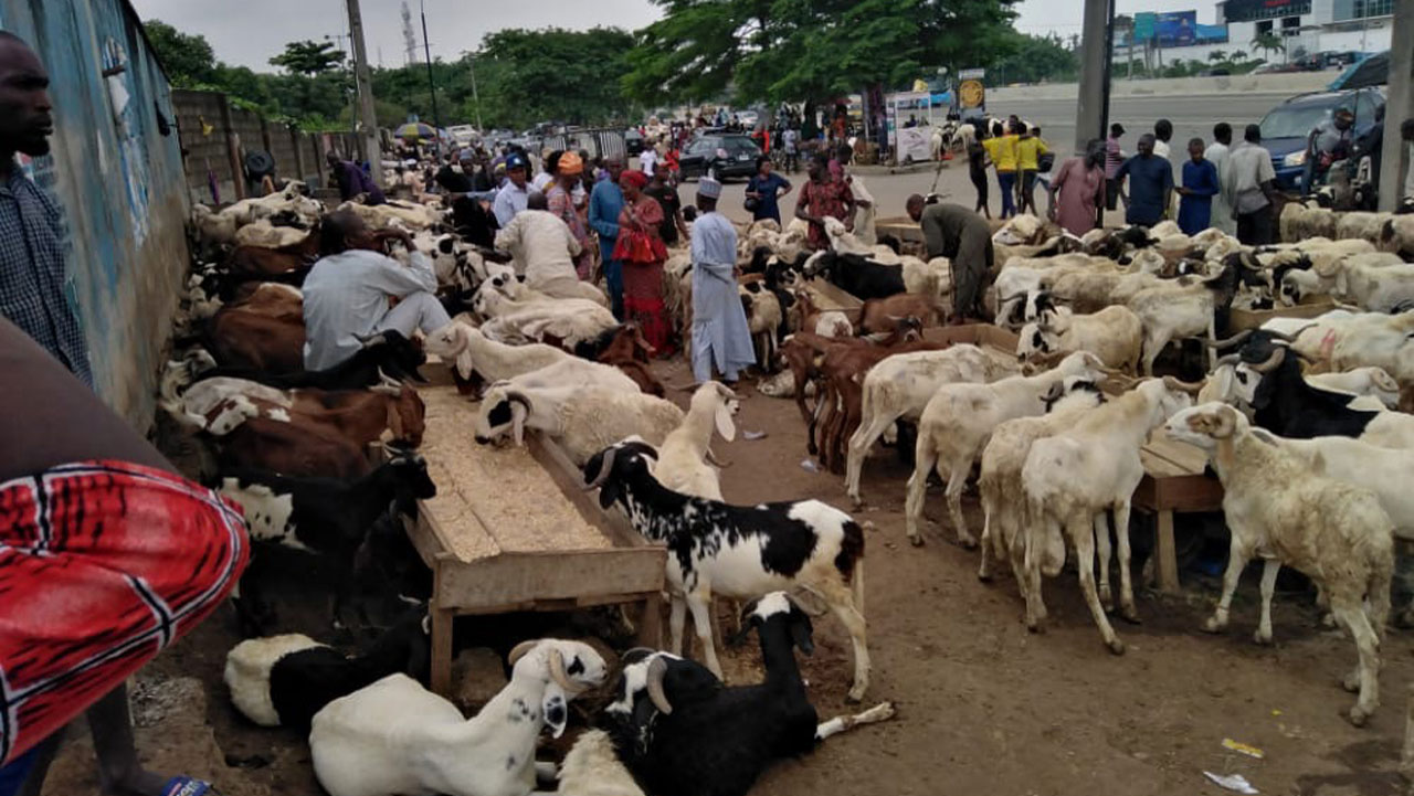 Muslims celebrate Sallah amid hike in food, ram prices | The Guardian ...