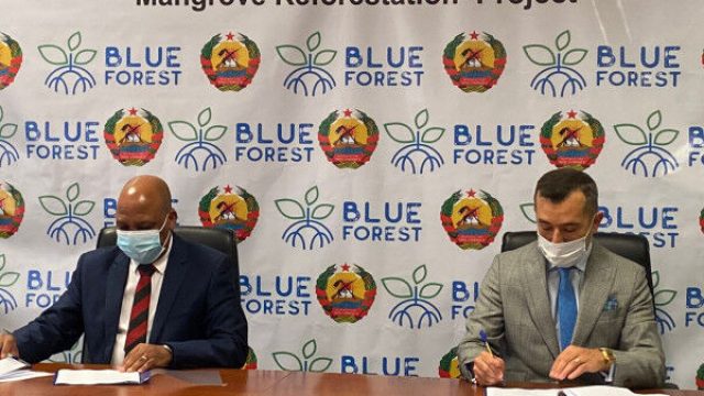 Mozambique & Blue Forest Launch Africa's Largest Mangrove Restoration ...