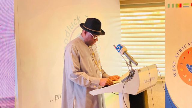 Jonathan, Jega carpet politicians, judiciary, INEC over flawed elections