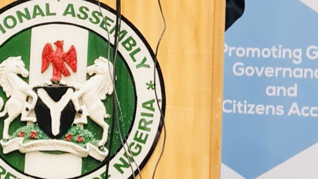 Failings of the National Assembly