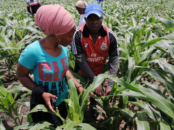 Strengthen Collaboration on Climate Adaptation Across the Continent ...