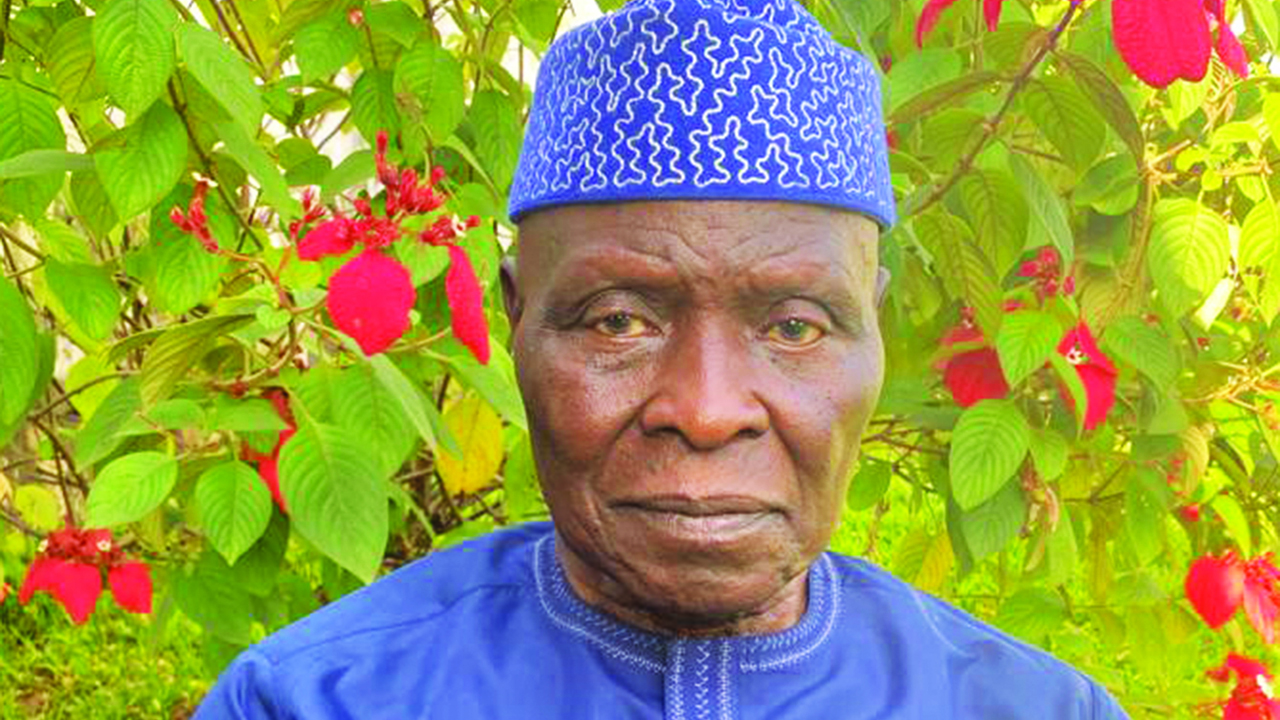 MNR elects Cornelius Adebayo chairman, others to run affairs