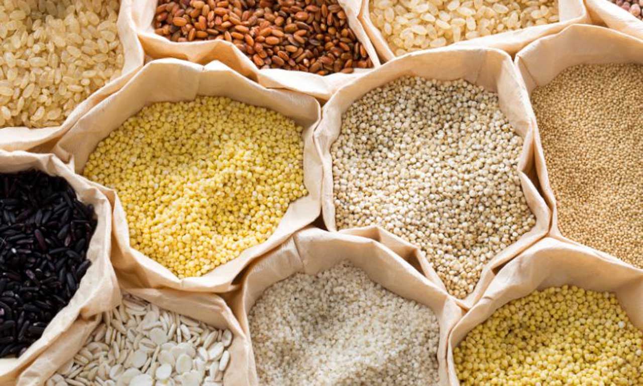 Mighty millets - Super grains of power | The Guardian Nigeria News ...