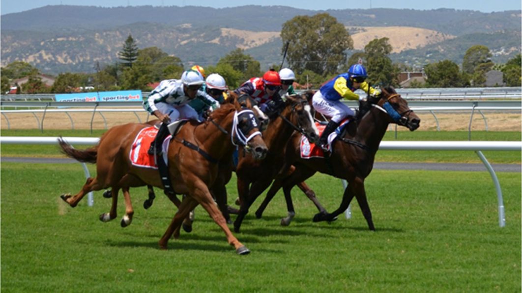 The Bangalore Race Course: Racing Meets Tradition & Excellence