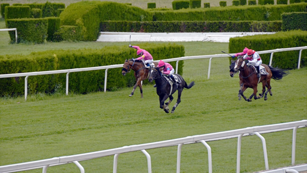 The Bangalore Race Course: Racing Meets Tradition & Excellence