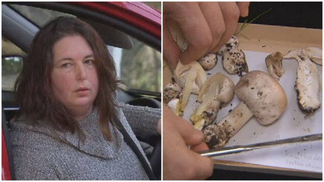 Australian woman arrested in lethal mushroom mystery