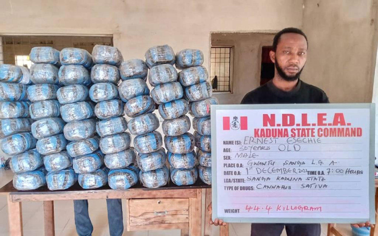 NDLEA recovers 8 tons of Indian hemp, 8,000 bottles of codeine in 8 ...