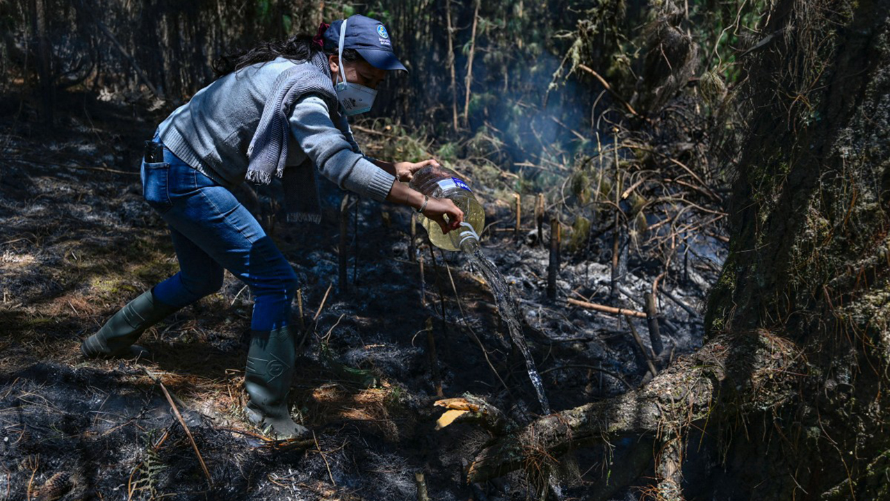 Over 17,000 hectares destroyed in Colombia forest fires | The Guardian ...