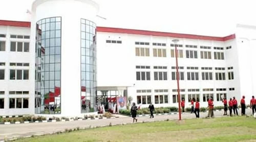 PUNCH celebrates 50th anniversary