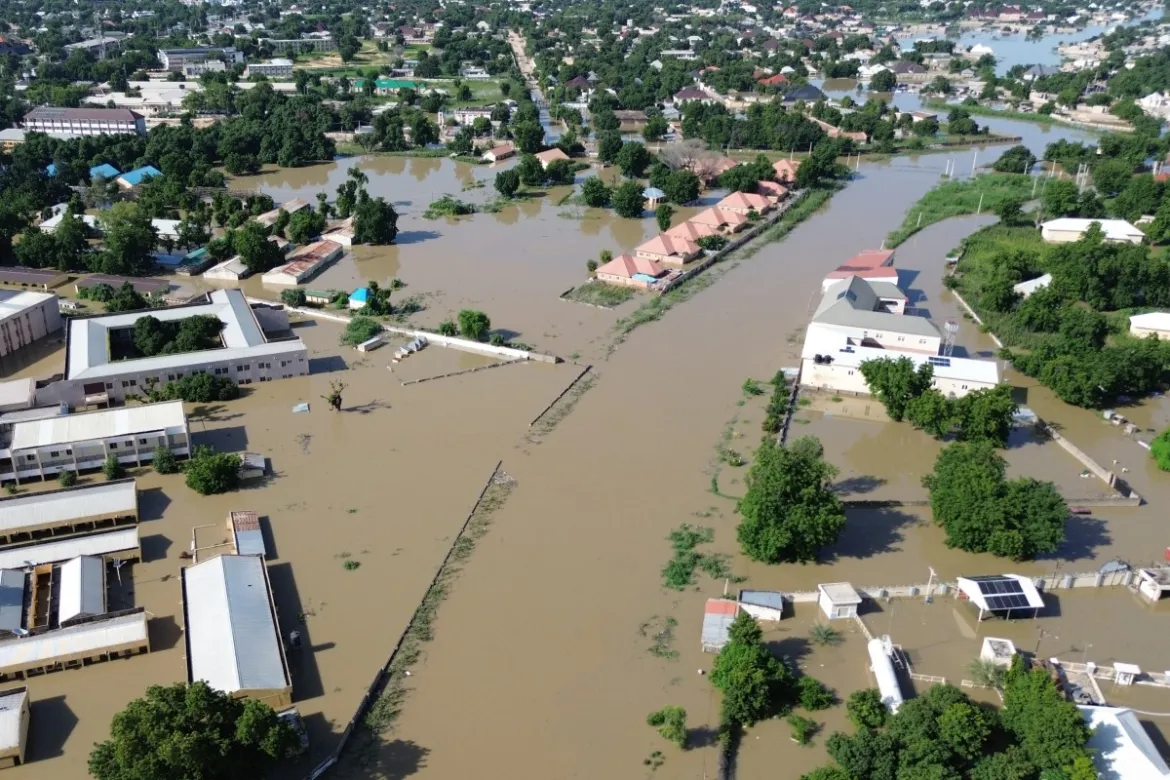 1.3million hectares, 558,000 cropland submerged by flood - FAO