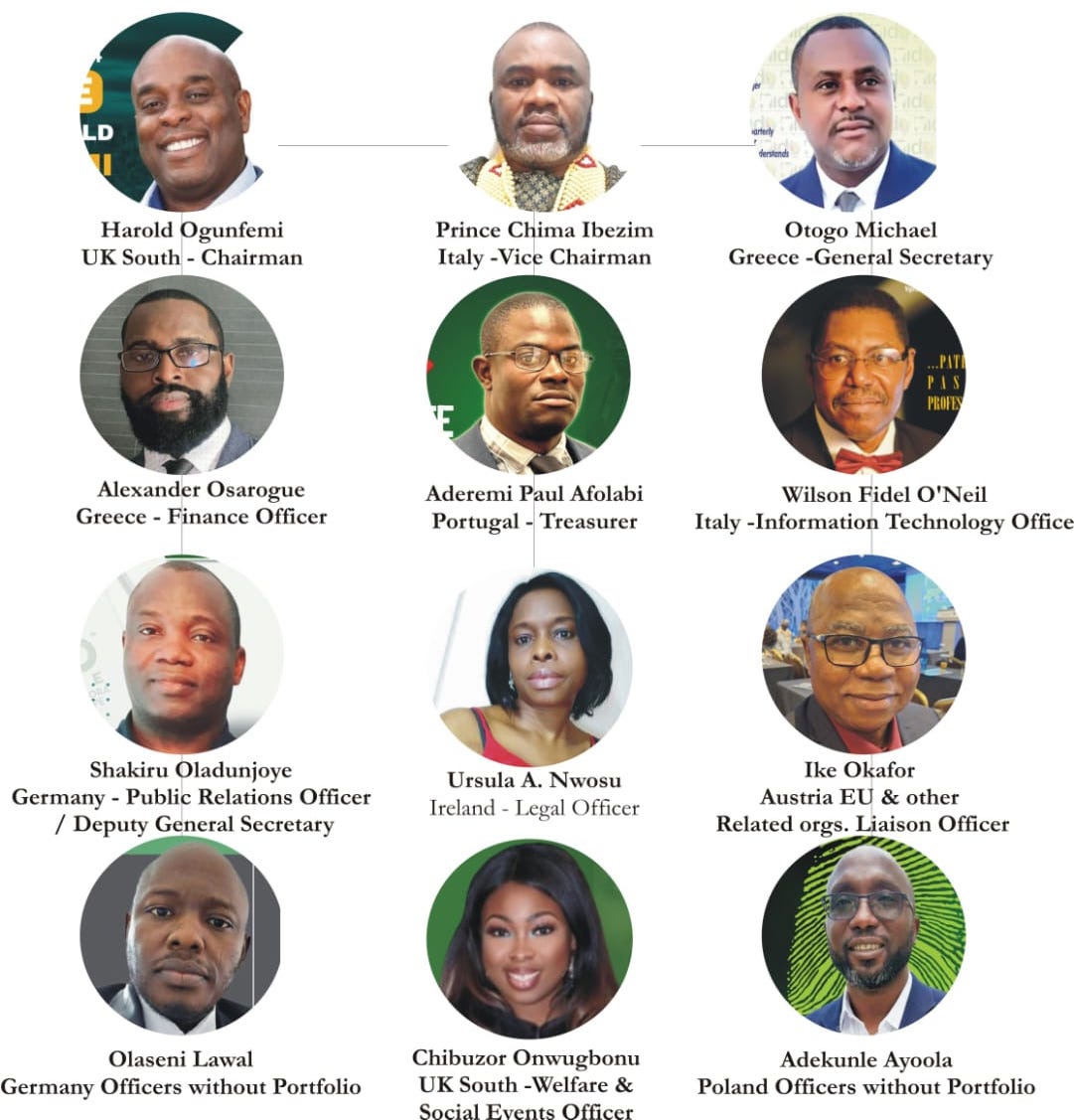 Nigerians in diaspora elect new executive officers | The Guardian Nigeria News - Nigeria and ...