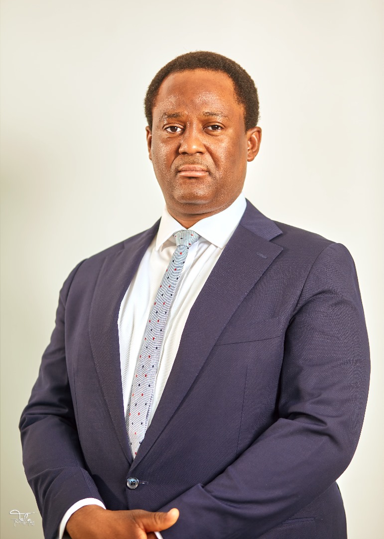 Visionary CEOs that shaped Nigeria’s economic landscape in 2024 (4)