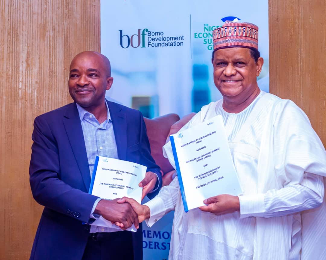 BDF, NESG sign MoU on post-conflict recovery, economic revival in Borno ...