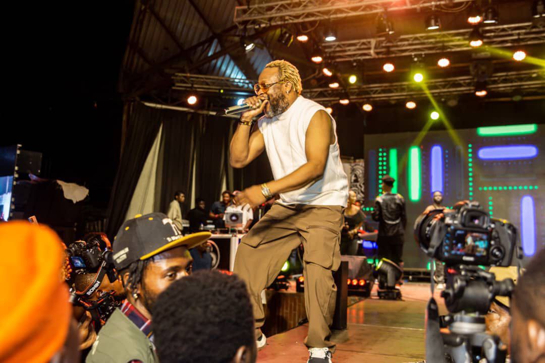 Live & Wavy ignites pan-African music scene with vibrant sounds ...