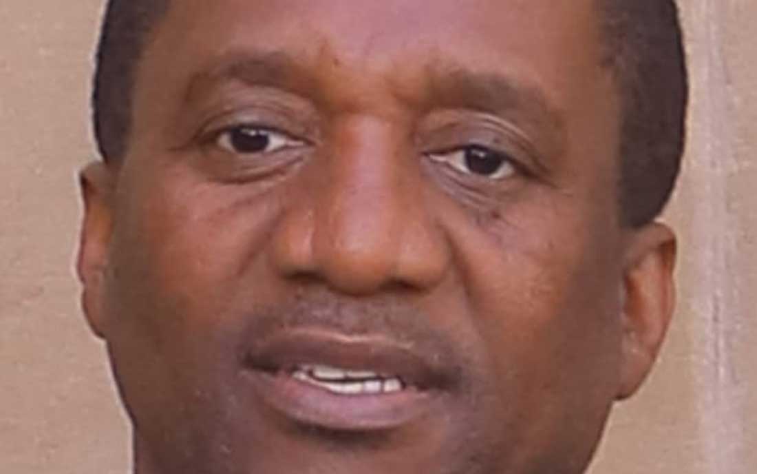 Sibongile Gobile: The legal trailblazer building future for labor law ...