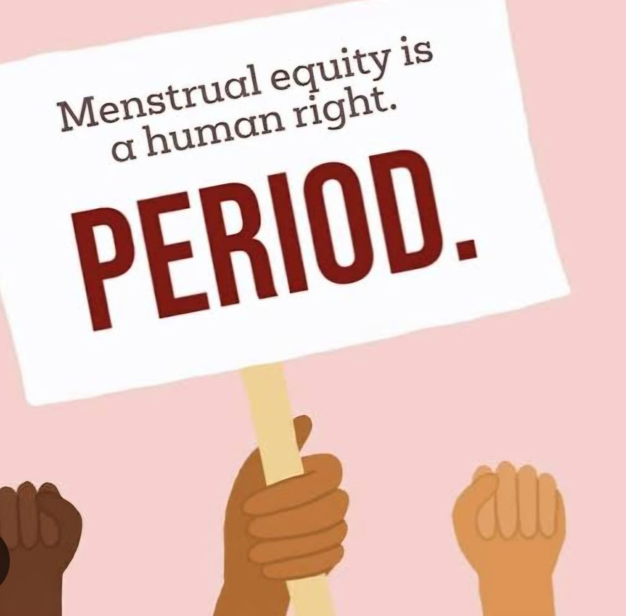 Nigeria rallies support for menstrual equity, end to period poverty