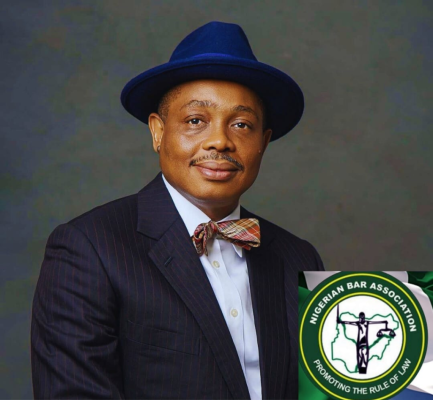 NBA president Afam Osigwe lauded for groundbreaking annual conference