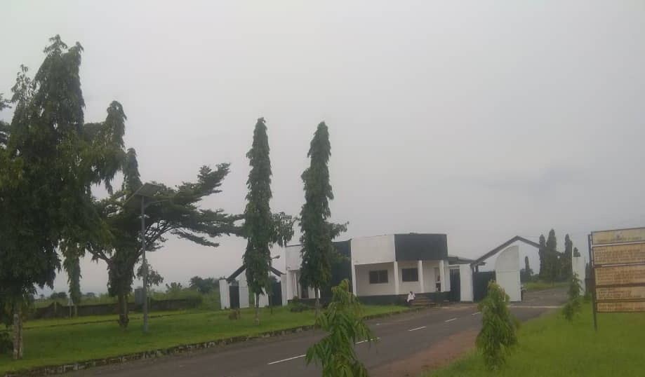 Institute launches digital tools, acculturation centres to revive ...