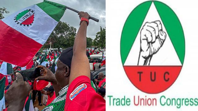 TUC leadership crisis deepens in Rivers as senior civil servants reject ...