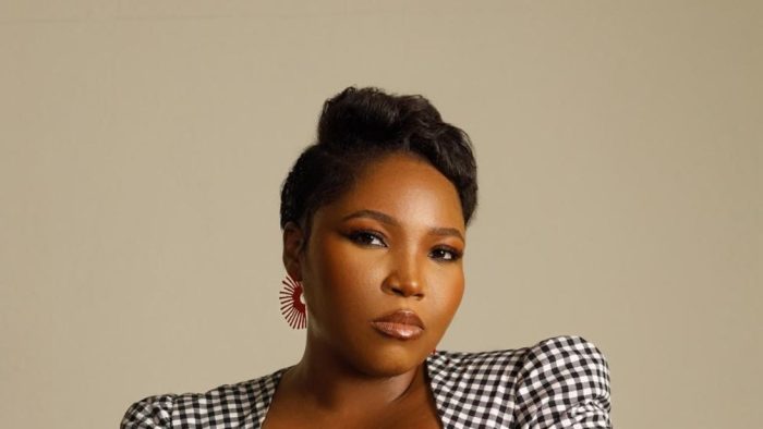 Court dismisses N1b copyright infringement claim against MTN