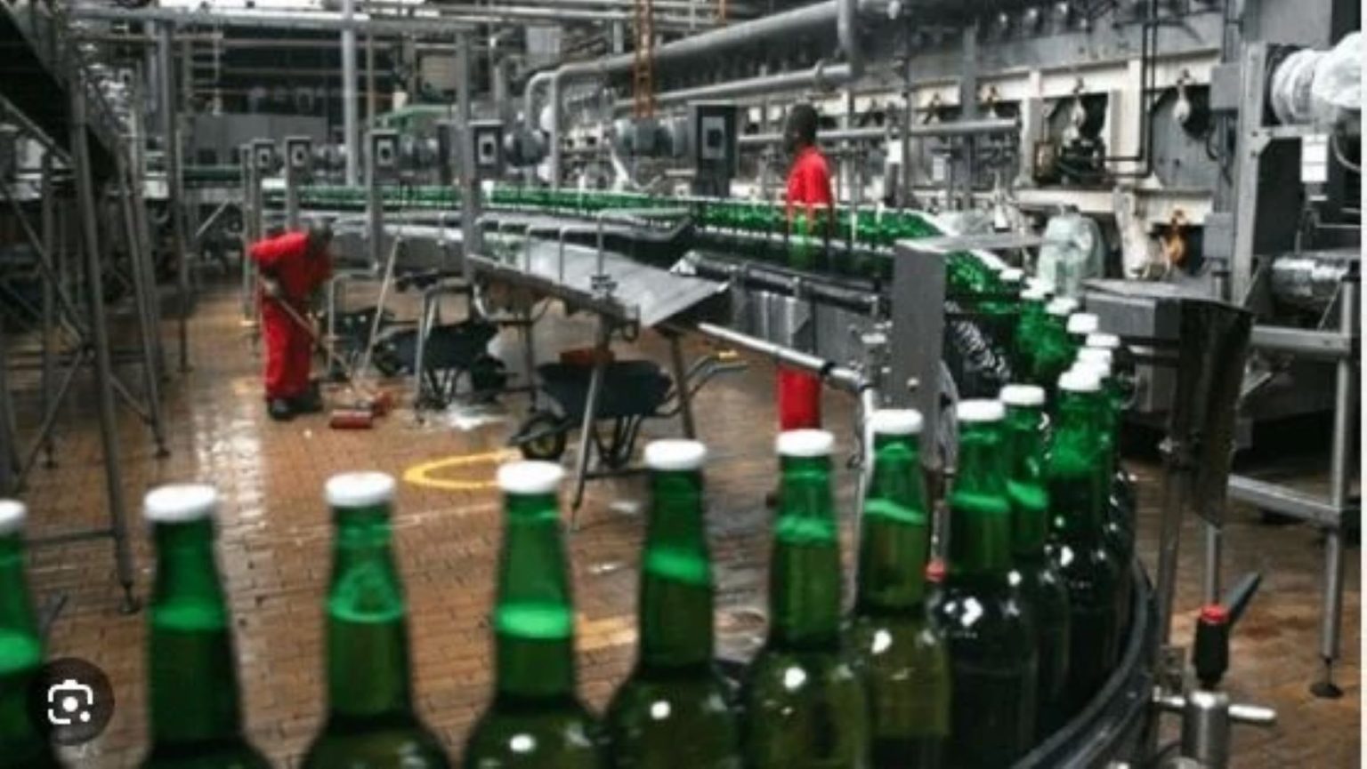 ‘Only four African economies are positioned to sustain industrialisation’