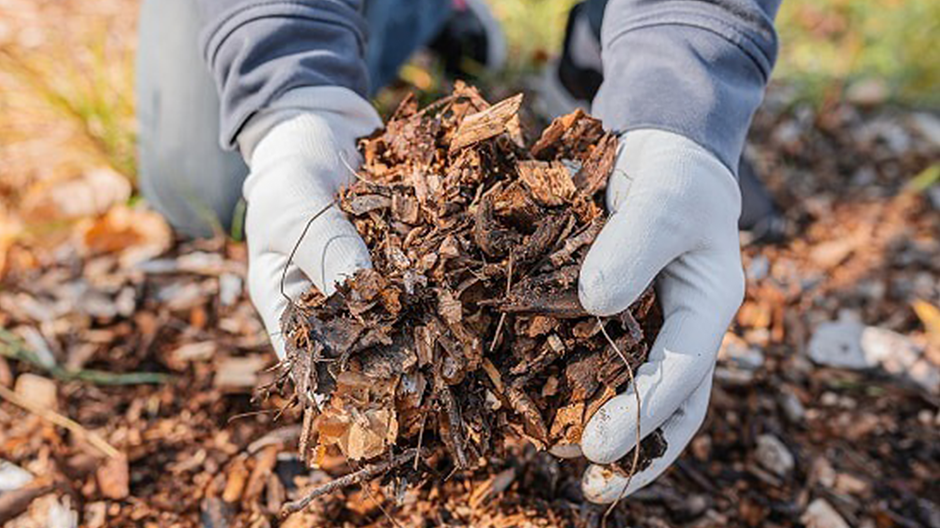High cost of fertiliser: Why experts differ on adoption of human poo as ...