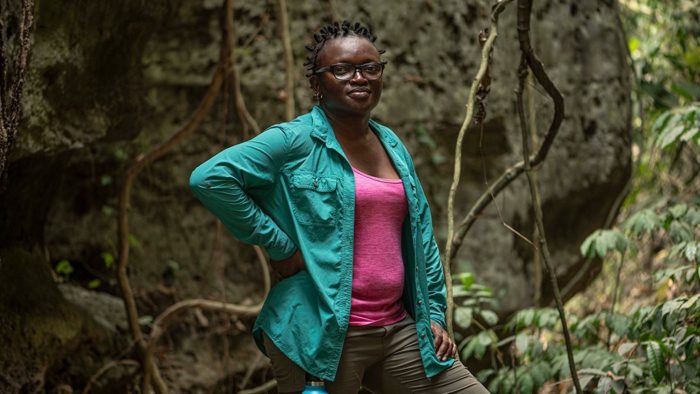 Nigerian ecologist, Tanshi honoured for endangered species protection