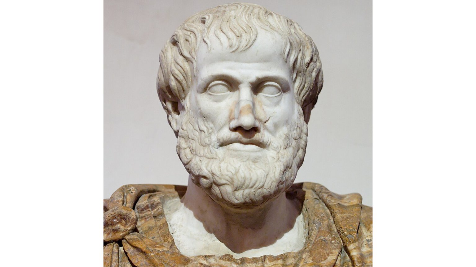 So, Aristotle was the first political scientist?